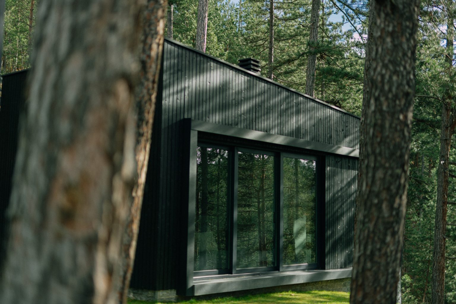 Crni biseri: Dva bungalova na Zaovinama za dvoje istoričara umetnosti